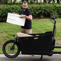 China Brushless E Cargo Bike for Carrying Groceries Family-Friendly Cargo Bicycle Delivery Bike for sale