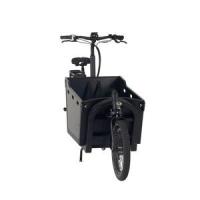 China 250W Pedal-Assist Family Bike OEM Cargo Bicycle 2 Wheel Ecargo Bike for sale