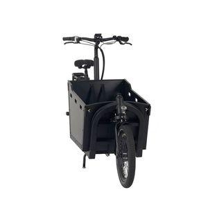 China 250W Pedal-Assist Family Bike OEM Cargo Bicycle 2 Wheel Ecargo Bike for sale