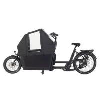 China Cargo Bicycle for Carrying Groceries High-Capacity 2 Wheel E Bicycle Cargo E-Bike for sale