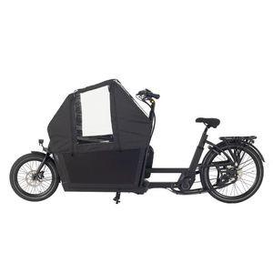 China Cargo Bicycle for Carrying Groceries High-Capacity 2 Wheel E Bicycle Cargo E-Bike for sale