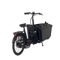 China OEM Pedal-Assist 2 Wheel Cargo Bicycle Family Friendly Electric Assist ODM Cargo Bike for sale