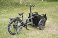 China High Quality Electric Cargobike Trike CE Approved 200-250W Stable Low Centre for sale