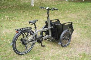 China High Quality Electric Cargobike Trike CE Approved 200-250W Stable Low Centre for sale