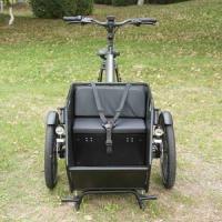 China High Performance Brushless Ebike Trike Low Centre Bike Comfortable Ride with En15194 for sale