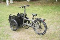 China Powerful Cargo E Bike with 55nm Motor and Electronic Gearsnd Puncture Proof Tyres and Reflective Safety for sale