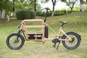 China Ruggedized Cargo E Bike with Impact-Resistant Frame and Tough Wheels for sale