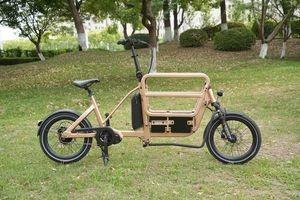 China Powerful Cargo E Bike with Ananda MID Drive Motor and High Torque for sale