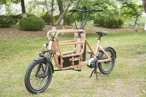 China En15194 Compliant Cargo Bike with Aerospace Grade Aluminum Frame and Build for sale