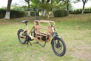 China Compact Cargo E Bike with Foldable Front Frame for Easy Storage for sale