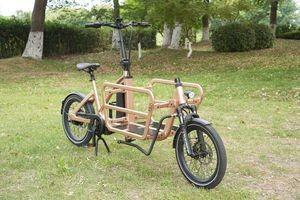 China Robust Cargo E Bike with Dual Hydraulic Disc Brakes for Safety for sale