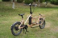 China Efficient Cargo E Bike with Karasawa Automatic Internal Gear System for sale