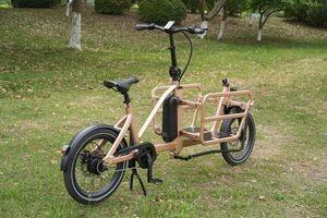 China Efficient Cargo E Bike with Karasawa Automatic Internal Gear System for sale