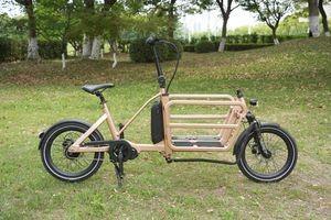 China Sleek Cargo E Bike with Reflective Puncture Proof Kenda Tires for sale