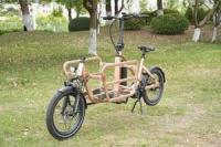 China Versatile Cargo E Bike with 3 Speed Gear Hub for Urban Commutes for sale