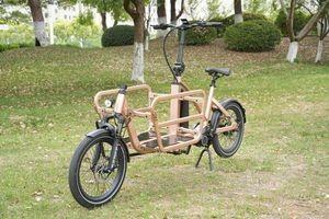China Versatile Cargo E Bike with 3 Speed Gear Hub for Urban Commutes for sale