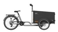 China Durable Electric Cargo Trike for Family and Heavy Loads for sale