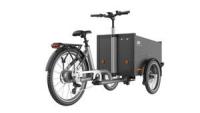 China Versatile E Cargo Trike for Urban Families and Transport Solutions for sale