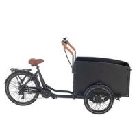China E Cargo Bike for Carrying Kids 20/26 Inch Electric Cargo Bicycle with Large-Capacity for sale