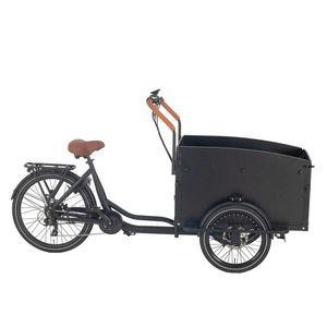 China E Cargo Bike for Carrying Kids 20/26 Inch Electric Cargo Bicycle with Large-Capacity for sale