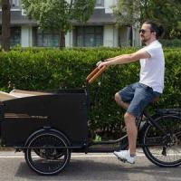 China New 250W 25km/H Entry-Level Heavy-Duty Reliable Durable Steel Frame Cargo Bike Starter for sale