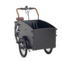 China 3 Wheel Cargo Bike with Heavy-Duty Box for Carrying Kids and Packages for sale