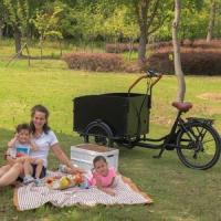 China Entry-Level Cargo E Bike for Starter with 300kg Load Front Box for sale