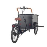 China 3 Wheel E-Cargo Bike with Steel Box for Family and Dog-Friendly Transportation for sale