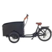 China Last Mile Delivery Cargo Bicycle with High Capacity and Brushless Motor for sale