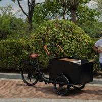 China Electric Cargo Bike with Safe Box for Kids, Pets, and Food Delivery for sale