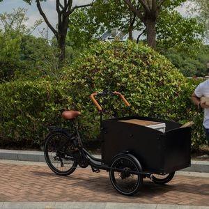 China Electric Cargo Bike with Safe Box for Kids, Pets, and Food Delivery for sale