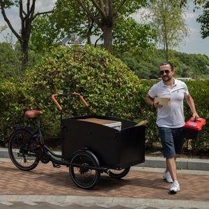 China Family-Friendly Electric Cargo Bike for Pets and Deliveries for sale