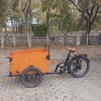 China Customisable Electric Cargo Bicycle with Personal Canopies for Protection for sale
