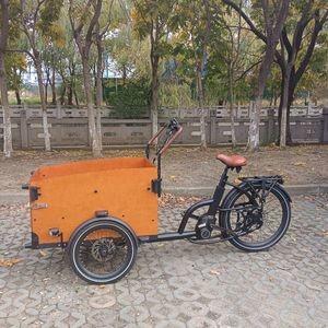 China Customisable Electric Cargo Bicycle with Personal Canopies for Protection for sale