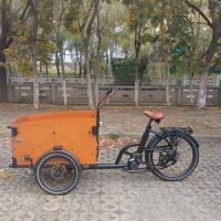 China Safety-Equipped Electric Cargo Bicycle with Handrails and Safety Belts for sale