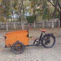 China Electric Cargo Bike Designed for Varied Terrain Adventures for sale