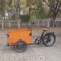 China Family-Friendly Electric Cargo Bicycle with Child Safety Seats for sale