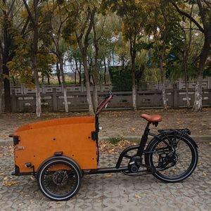 China Customizable Electric Cargo Bike with Versatile Accessory Options for sale