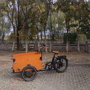 China Customisable Cargo E Bike with All-Weather Protection and Safety Features for sale