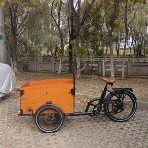 China Spacious Family Cargo E Bike with Durable Marine-Grade Plywood Box for sale