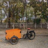 China Family-Friendly Durable Cargo E-Bike with Soft Cushions and Safety Belts for sale