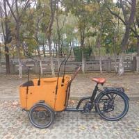 China Stylish Electric Cargobike Bakfiet with Attractive Design and Spacious Cargo Box Family C for sale