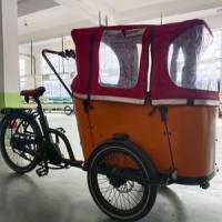 China Durable Electric Cargo Bike Etrike for Heavy Loads and Tough Conditions for sale