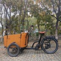 China Ergonomic Family Cargo Bike with Comfortable Child Seating for sale