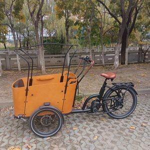 China Eco-Conscious Electric Cargo Bike for Family Outdoor Fun for sale