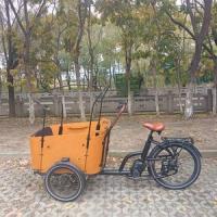 China Versatile Electric Cargobike Bakfiet with Flexible Gear System for Varied Landscapes Family C for sale