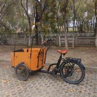 China High-Performance Electric Cargobike Bakfiet with Flexible Gear System for Diverse Roads Family C for sale
