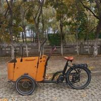 China Powerful Electric Cargobike Bakfiet with Long-Range Battery for Family Adventures Family C for sale