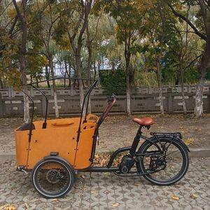 China Powerful Electric Cargobike Bakfiet with Long-Range Battery for Family Adventures Family C for sale