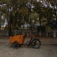 China Premium Electric Bakfiets Cargo Bike with Strong Uphill Motor for sale